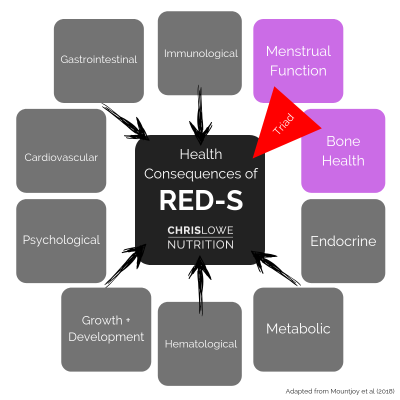Ep. 66 - Dedication to Education: Relative Energy Deficiency in Sport ...