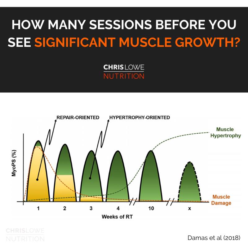 Ep. 144 - Dedication to Education: How Many Weight Training Sessions ...